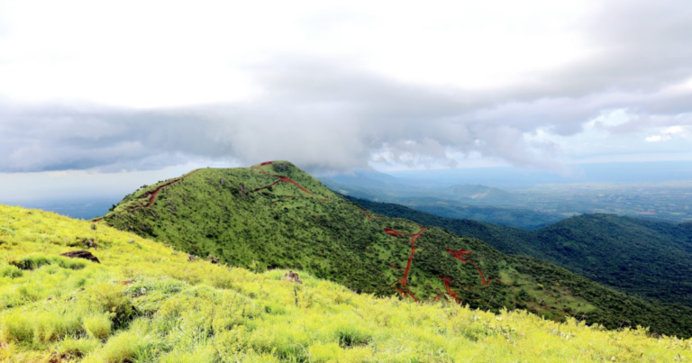 Baowu Steel is teaming up with a Singaporean consortium to develop the ...